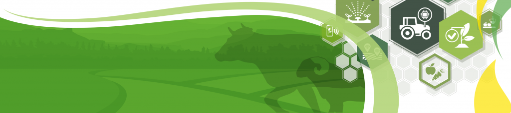 Sonstige E-Scooter, 7522 Strem - Almmarkt